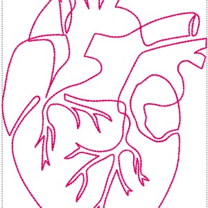 ANATOMICAL HEART Machine Embroidery Design 7'6'5'4'2.5' Medical Heart ...