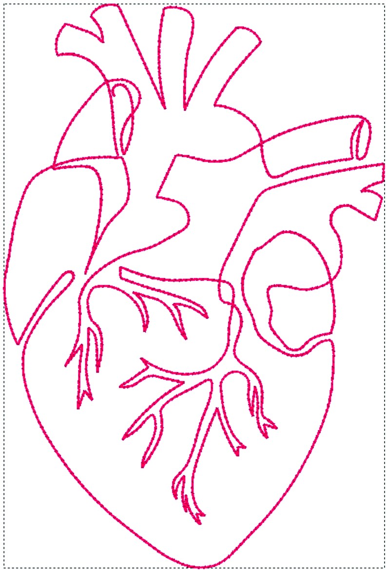 ANATOMICAL HEART Machine Embroidery Design 7'6'5'4'2.5' Medical Heart ...