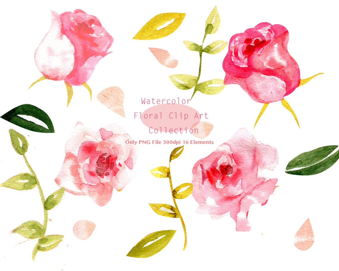 Watercolor Floral Png, Rose, Clip Art, Watercolor Png, Watercolor ...