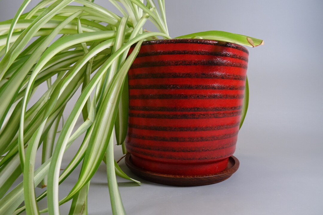 Scheurich Flowerpot, Planter, Plant Pot With Saucer Made of Teak, 60s ...