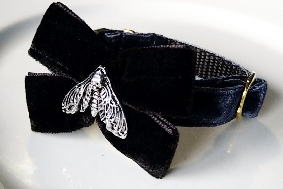 Moth Dead Head Collar.gothic Cat Collar.dog Black Collar.death Goth ...
