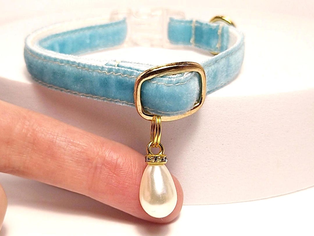 Sky Blue Velvet Cat Collar: Pearl Charm, Adjustable Kitten Collar - Etsy