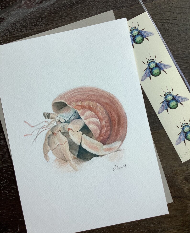 Print of Original Watercolour Artwork Hermit Crab - Etsy