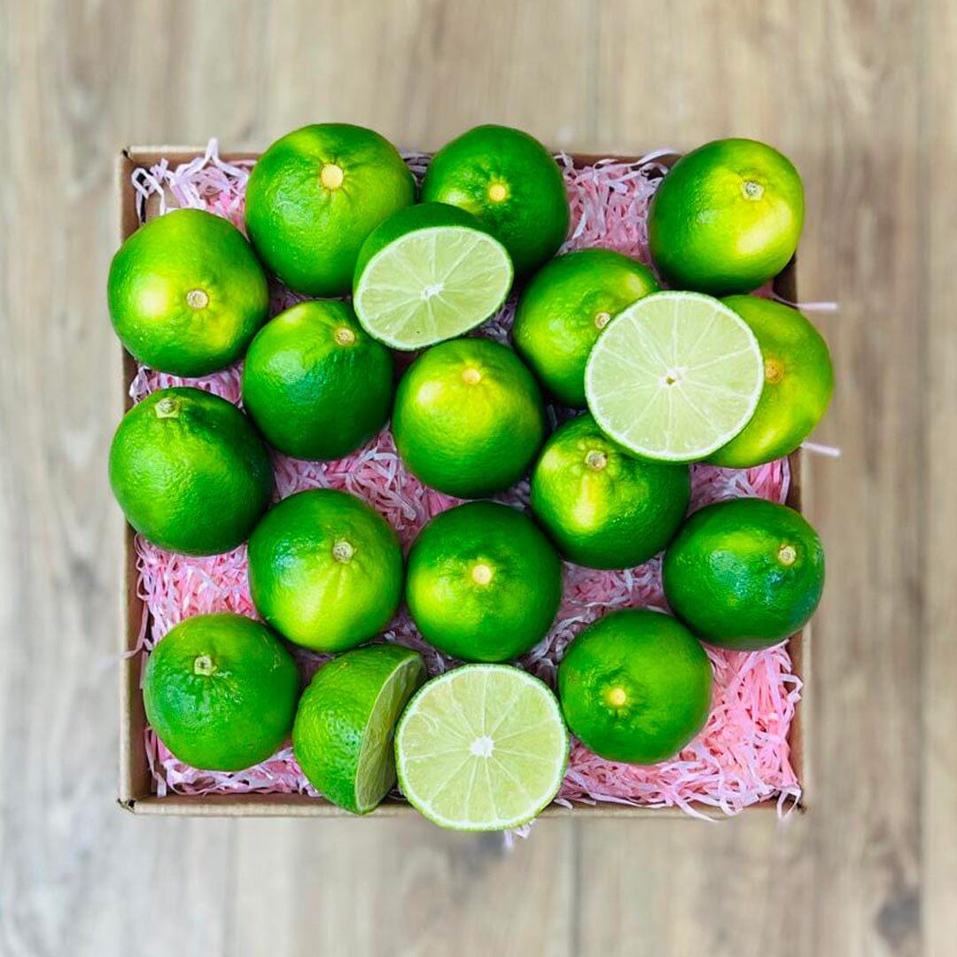 Tropical Lime Box - Etsy