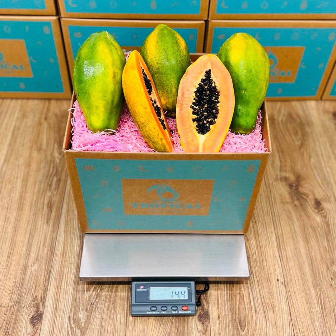 Tropical Fresh Papaya Box - Etsy