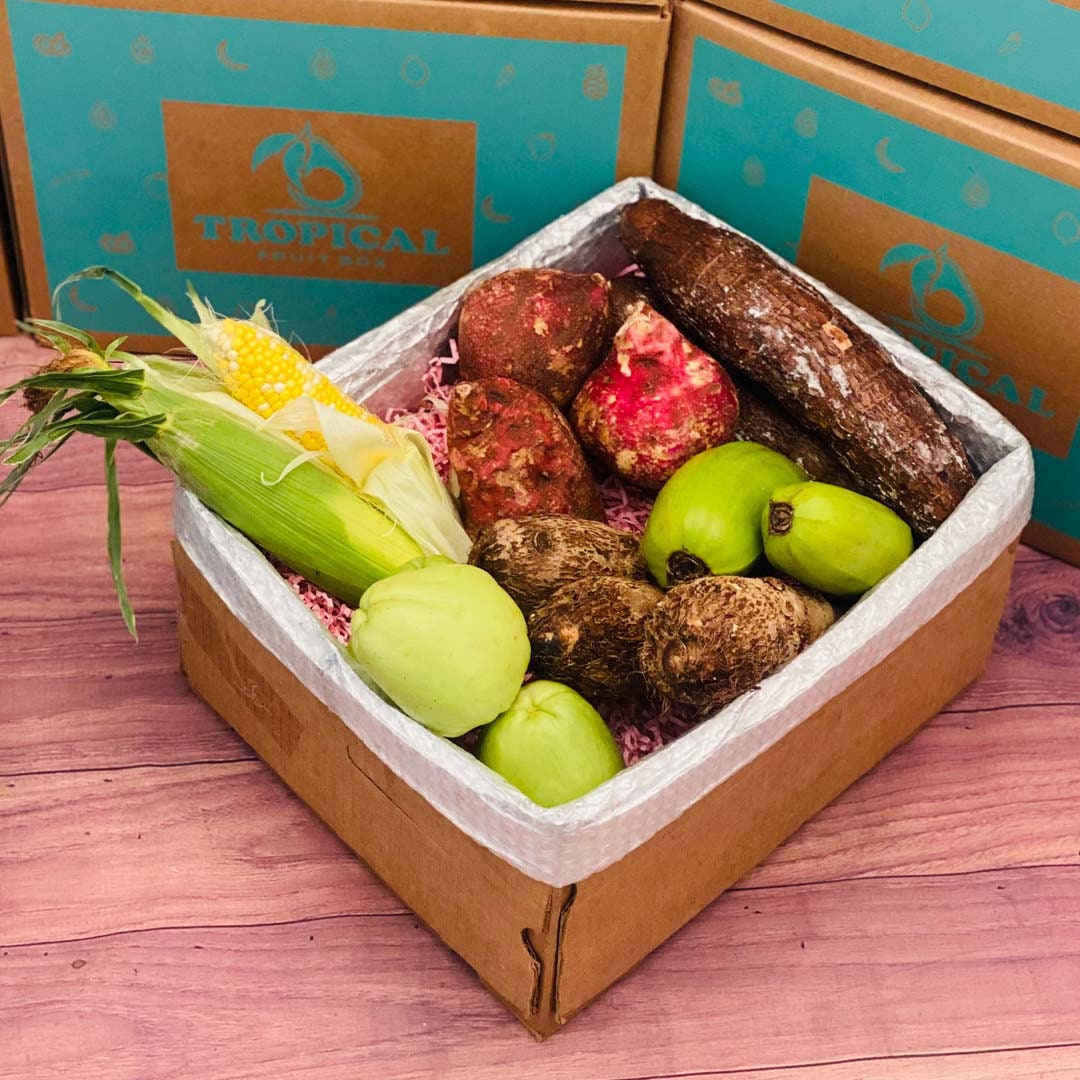 Tropical Root Box - Etsy