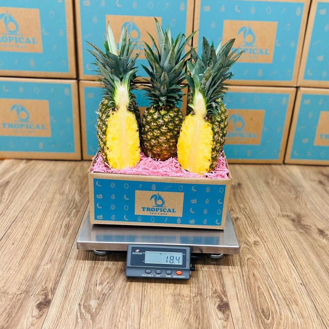 Premium Tropical Golden Pineapple Box - Etsy