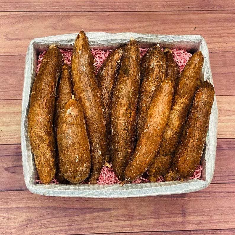 Yuca (cassava Root) Box - Etsy