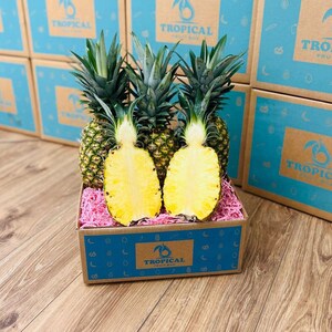 Premium Tropical Golden Pineapple Box - Etsy