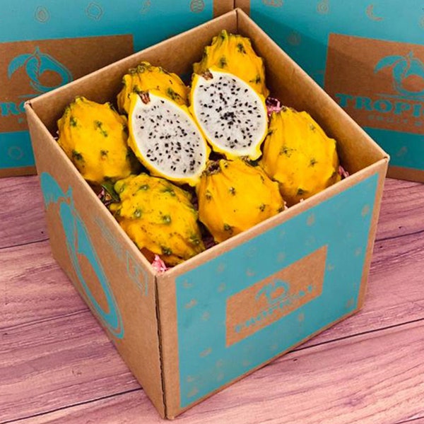 Yellow Dragon Fruit - Etsy