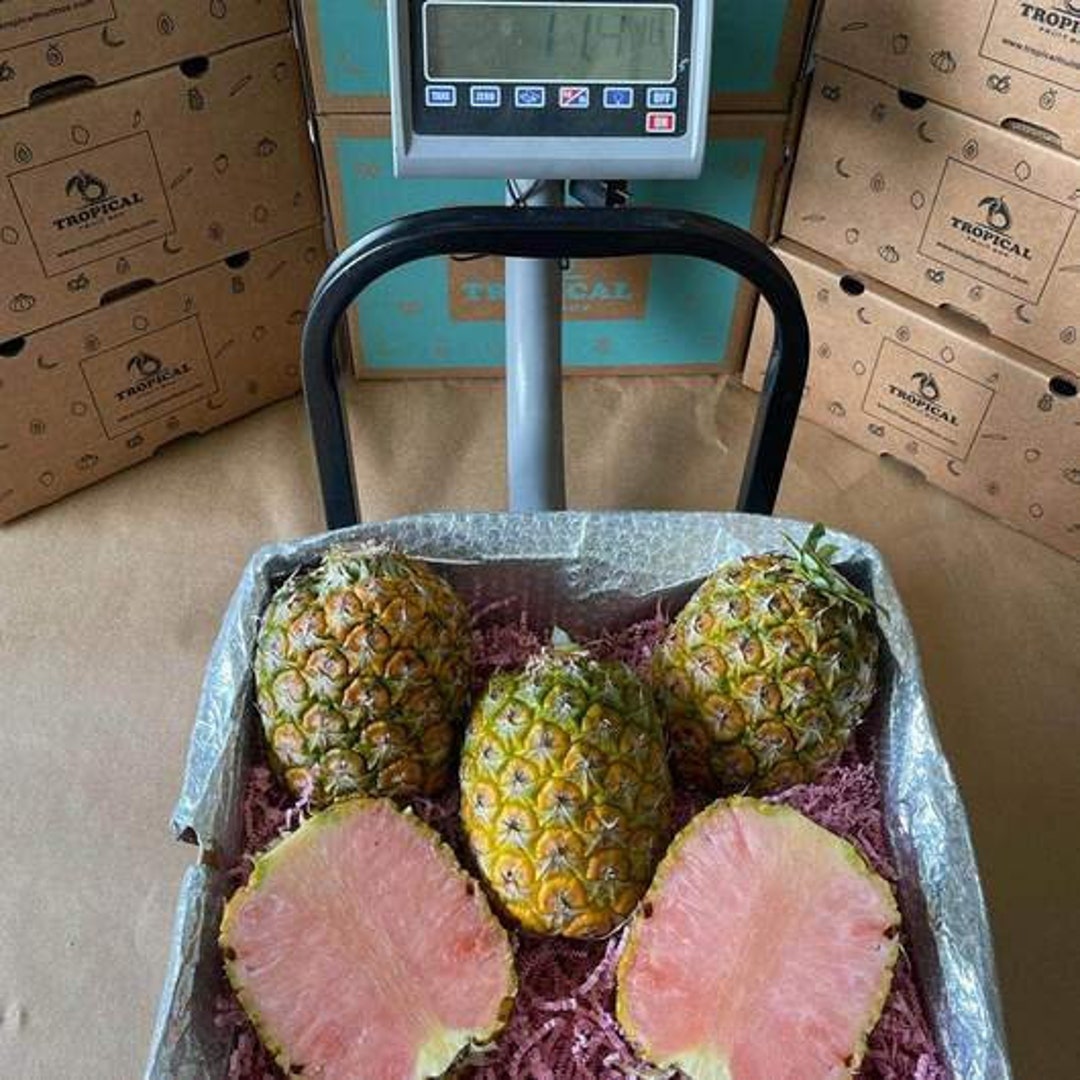 Pinkglow® Pink Pineapple Quartet Box - Etsy