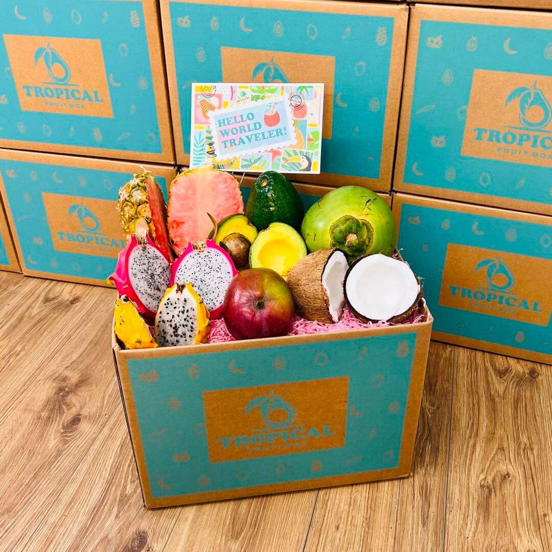 Tropi Travel Box - Etsy