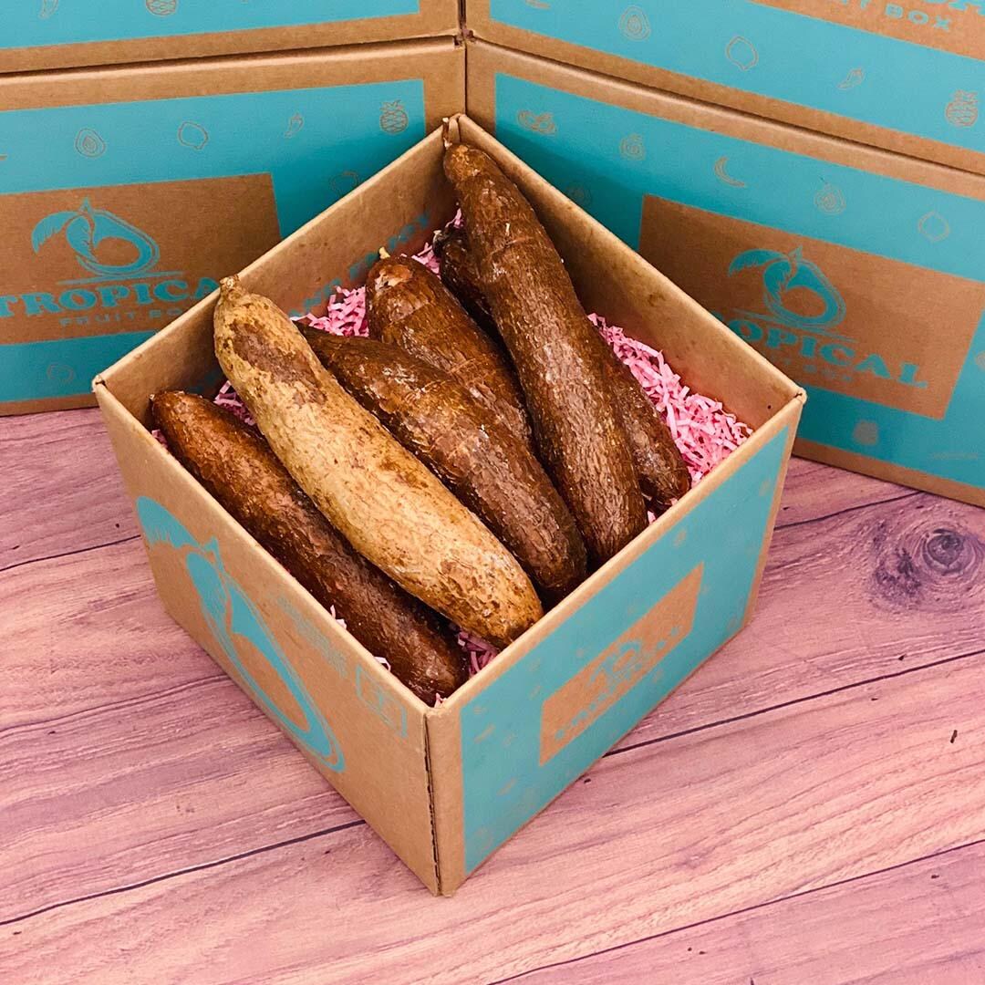 Yuca (cassava Root) Box - Etsy