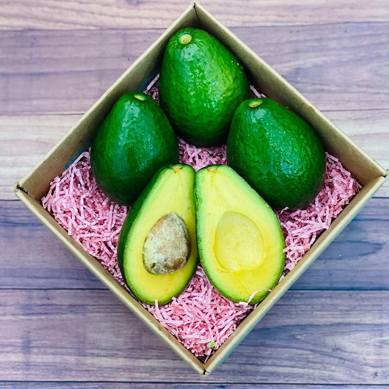 Tropical Avocado Box - Etsy