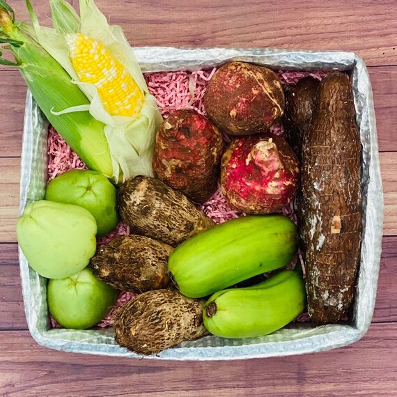 Tropical Root Box - Etsy
