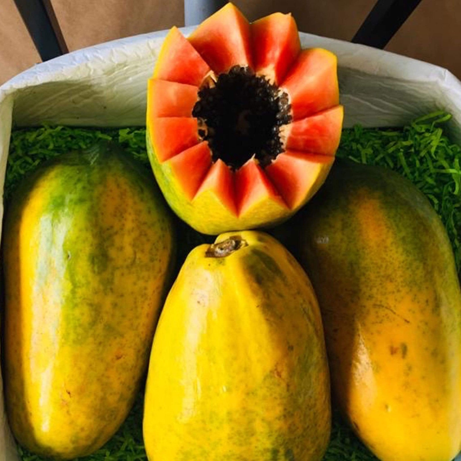 Tropical Fresh Papaya Box - Etsy