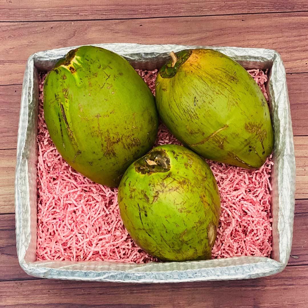 Green Coconut Box - Etsy