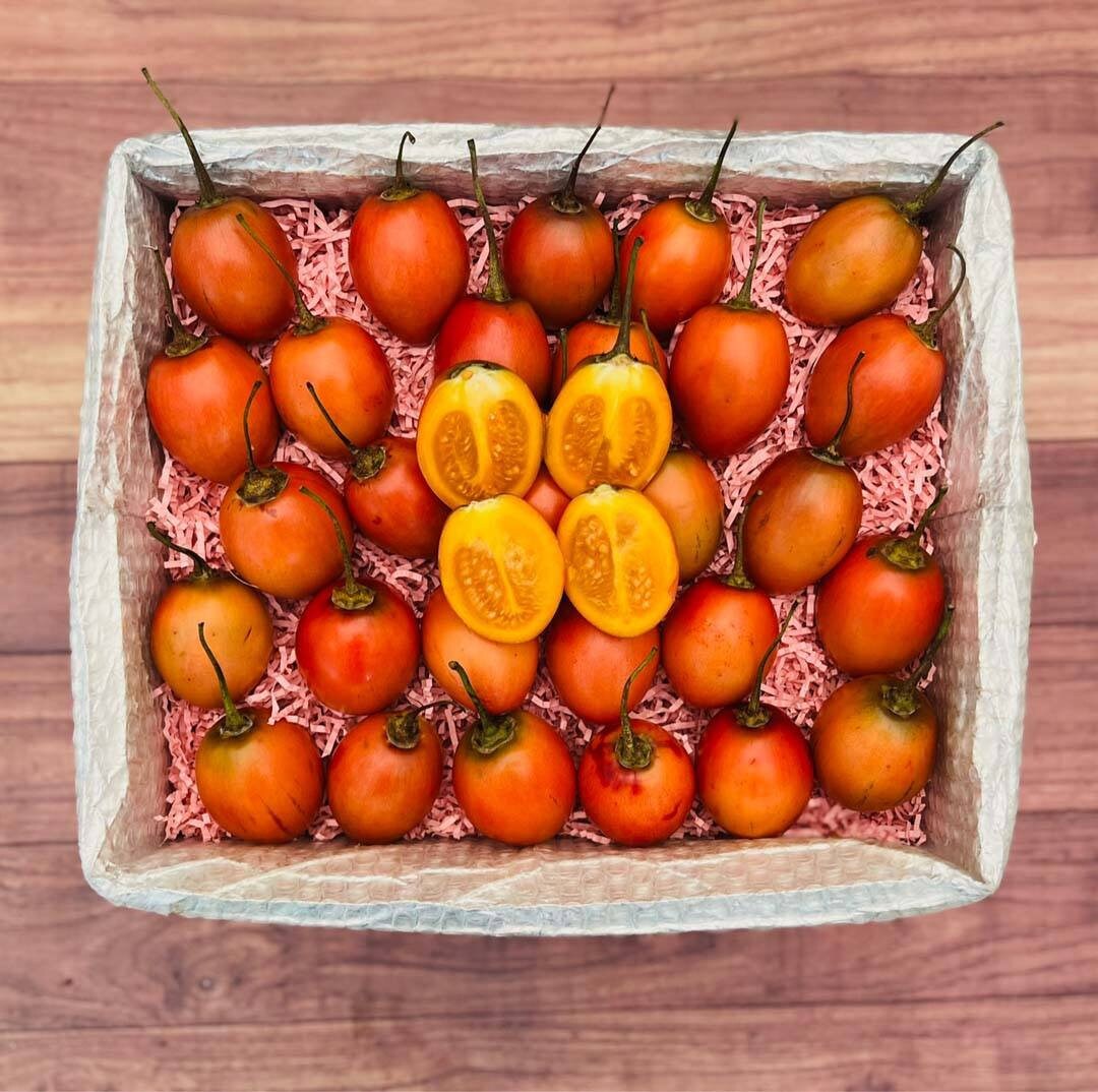 Tamarillo - Tree Tomato Box - Etsy
