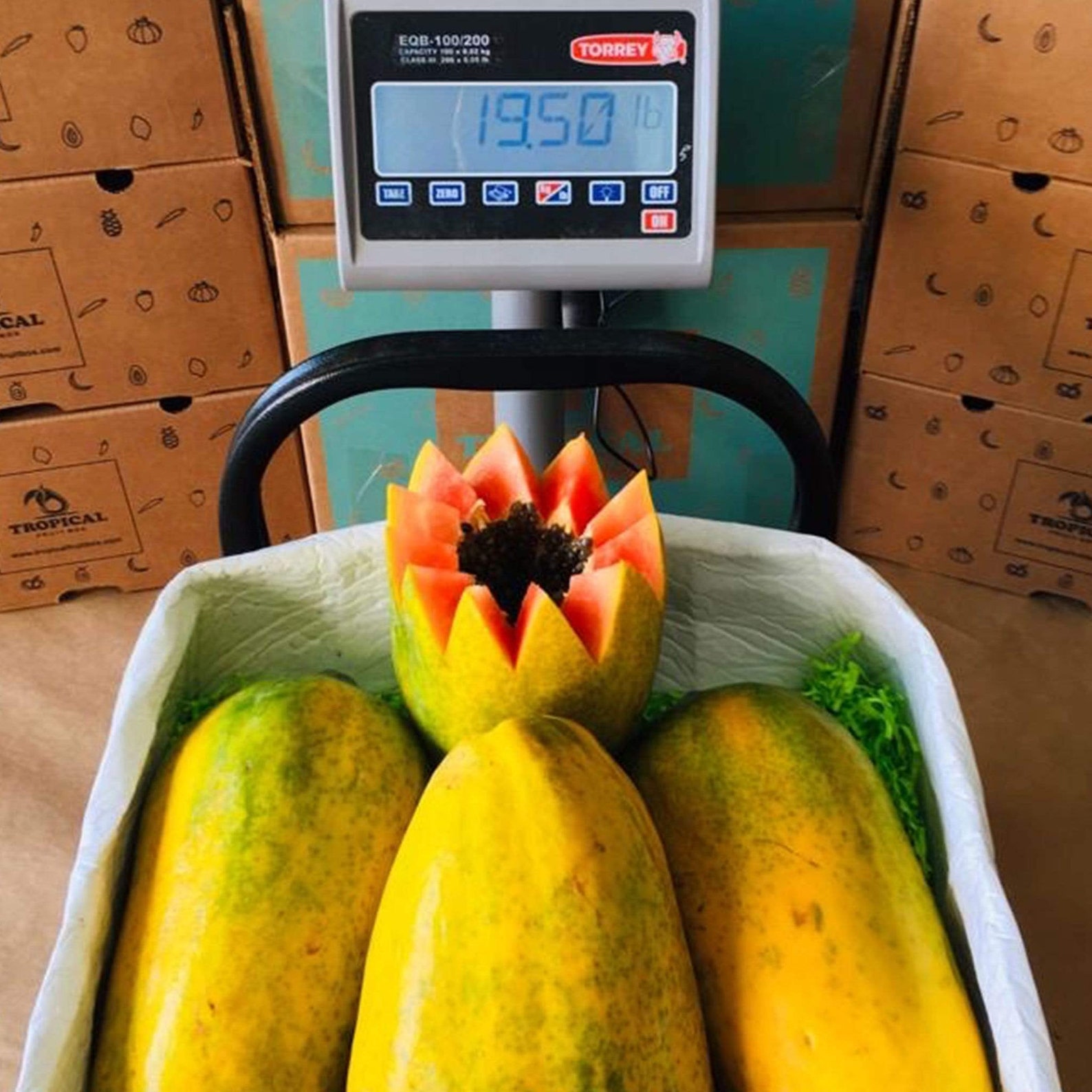 Tropical Fresh Papaya Box - Etsy