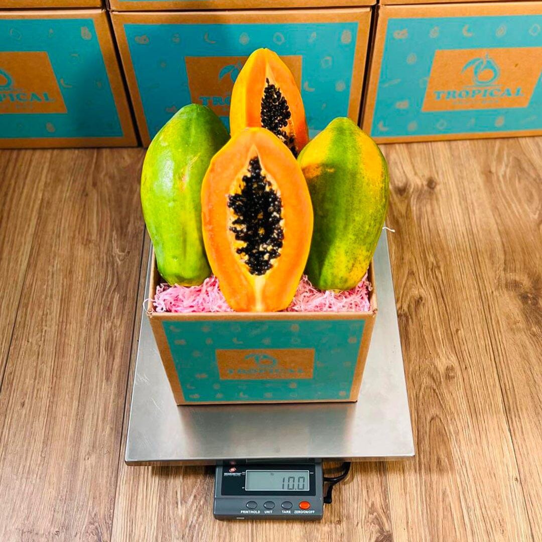 Tropical Fresh Papaya Box - Etsy