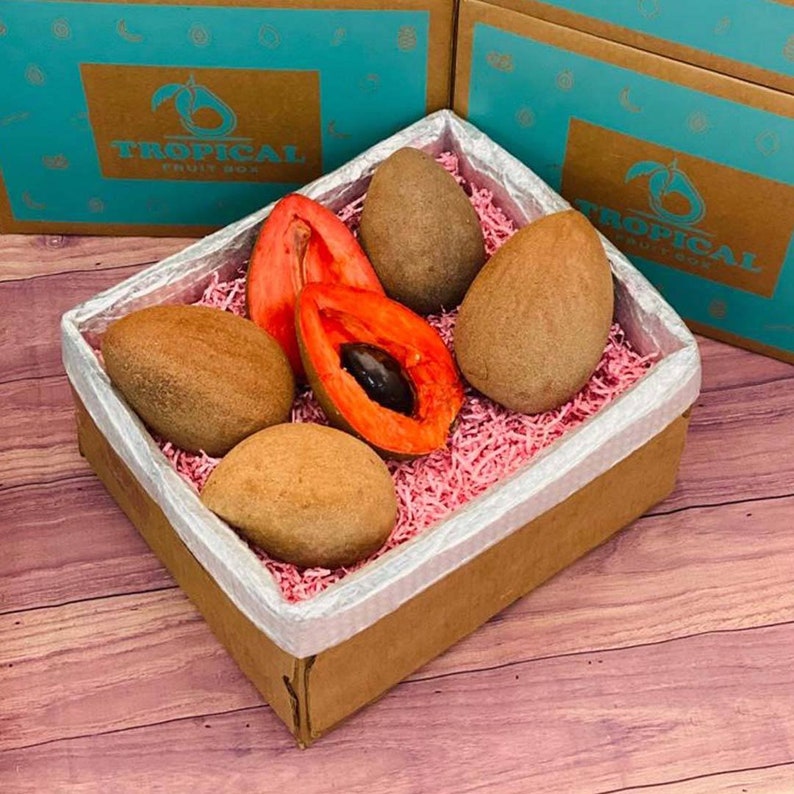 Mamey Fruit Box - Etsy
