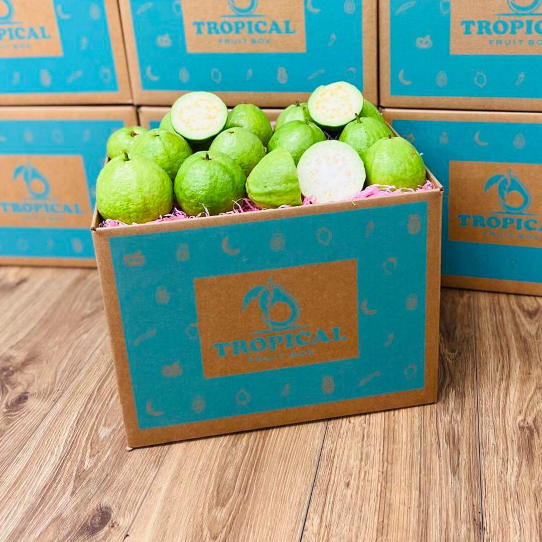 Fresh Tropical White Guava Box (thai Guava) - Etsy