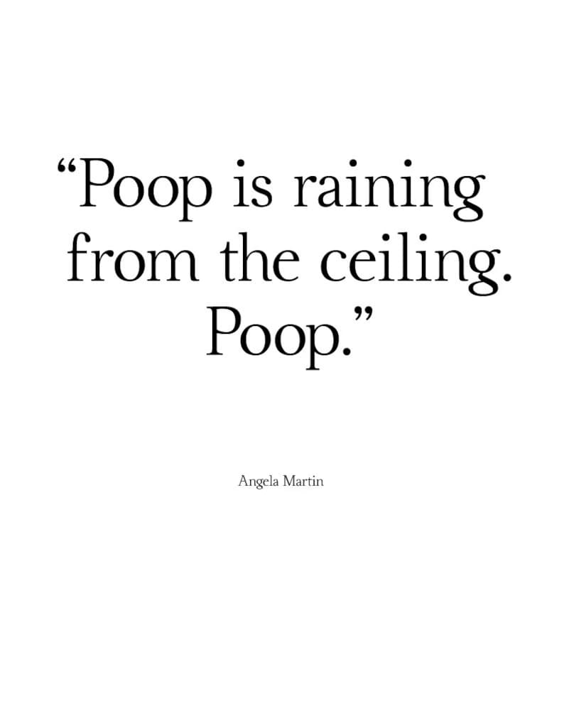 Poop is Raining From the Ceiling. Poop. - Etsy