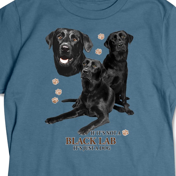 Lab Tshirt - Etsy
