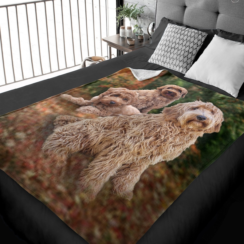 Labradoodle Soft Plush 50" X 60" Minky Blanket, Dog Breed Throw, Pets ...