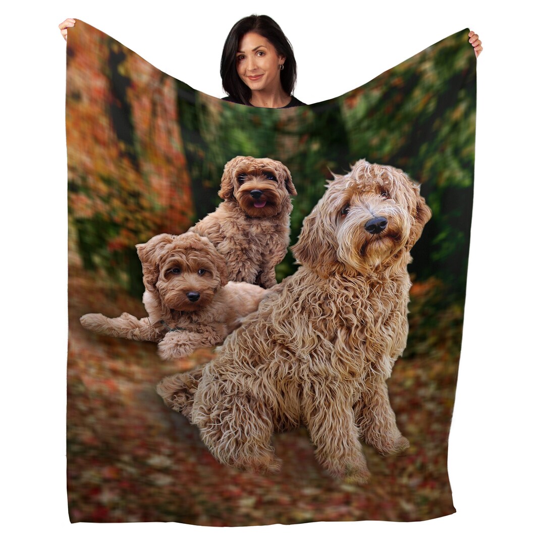 Labradoodle Soft Plush 50" X 60" Minky Blanket, Dog Breed Throw, Pets ...