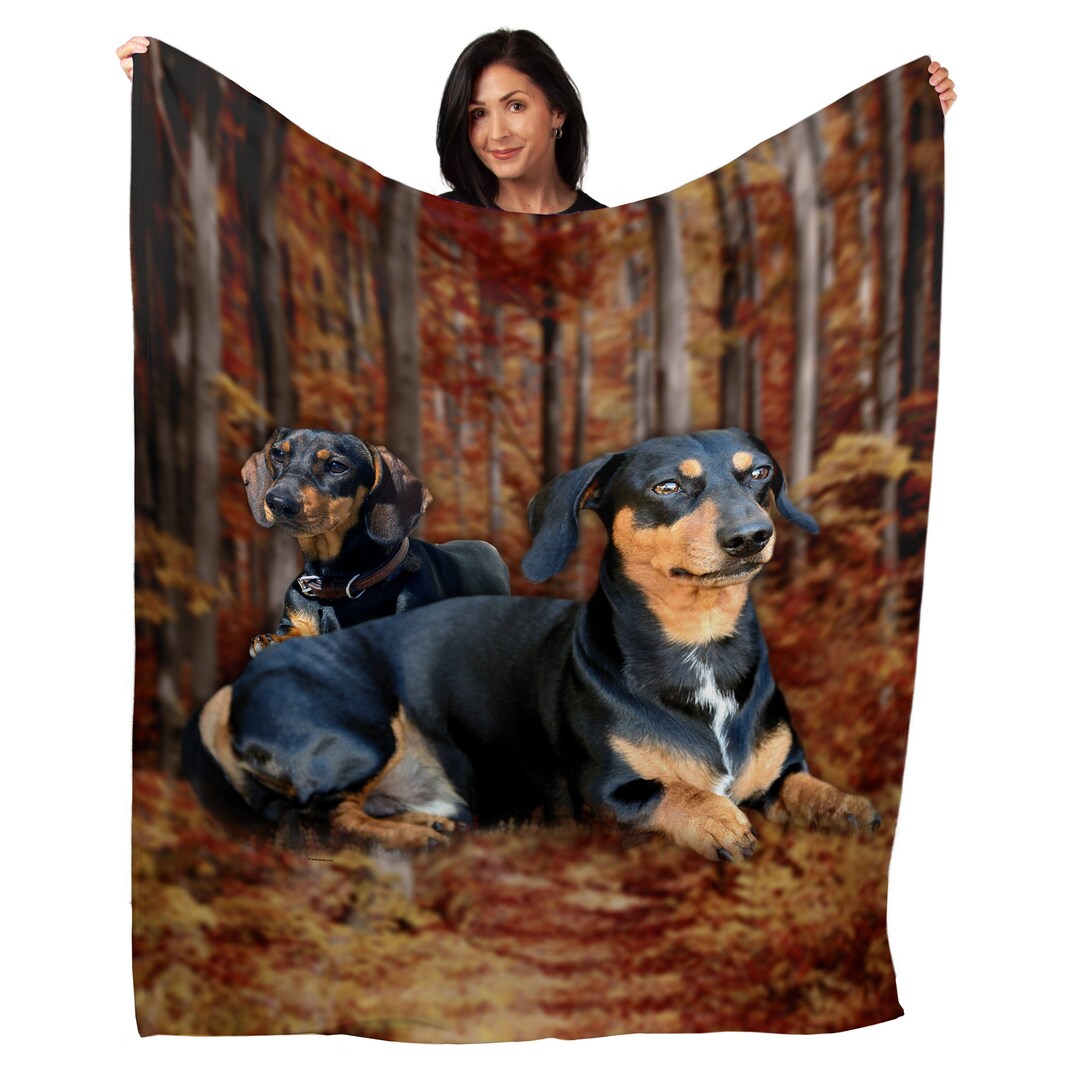 Dachshund Soft Plush 50" X 60" Minky Blanket, Dog Breed Throw, Weiner ...