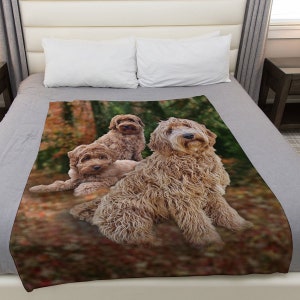 Labradoodle Blanket, Dog Breed 50" X 60" Decorative Fleece Throw, Pet ...
