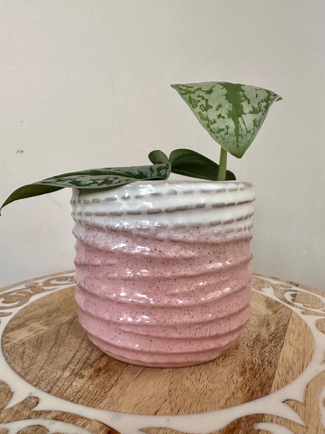 Pink & Cream Glazed Ceramic Planter Pot - Etsy