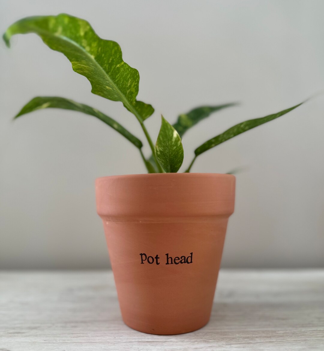 Pot Head Terracotta Ceramic Planter Pot - Etsy
