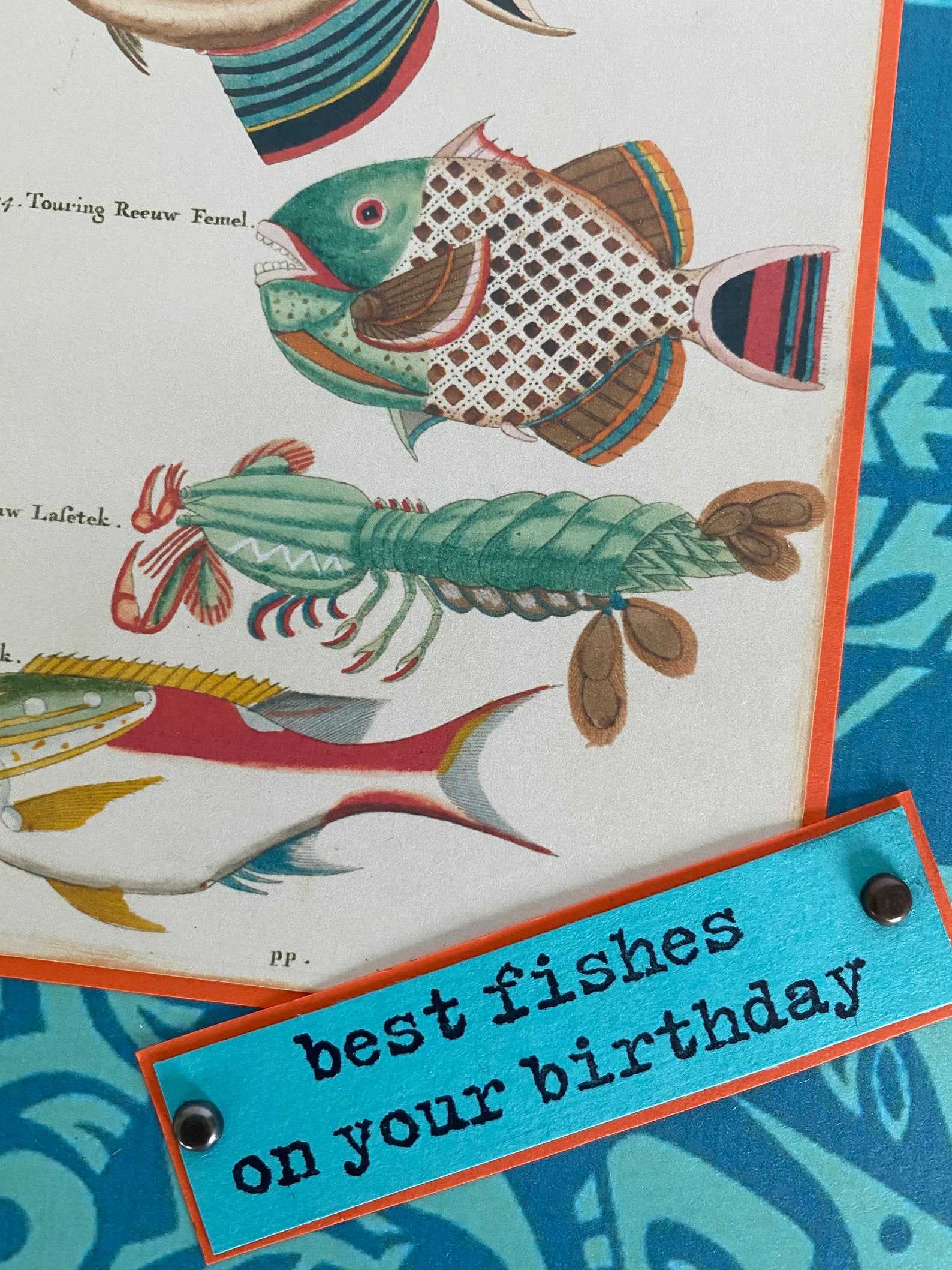 Best Fishes Birthday Card Tropical Fish Card Under the Sea - Etsy