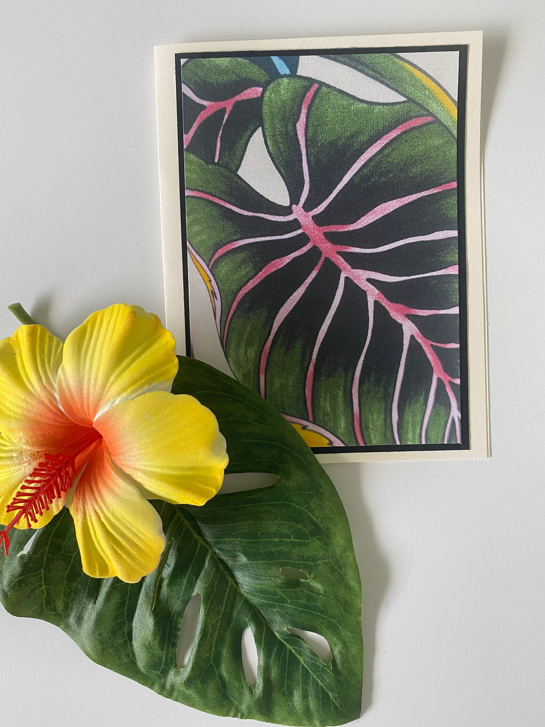 Hawaii Flower Notecards: Tropical Art Cards, Plumeria Cards (set of 10 ...