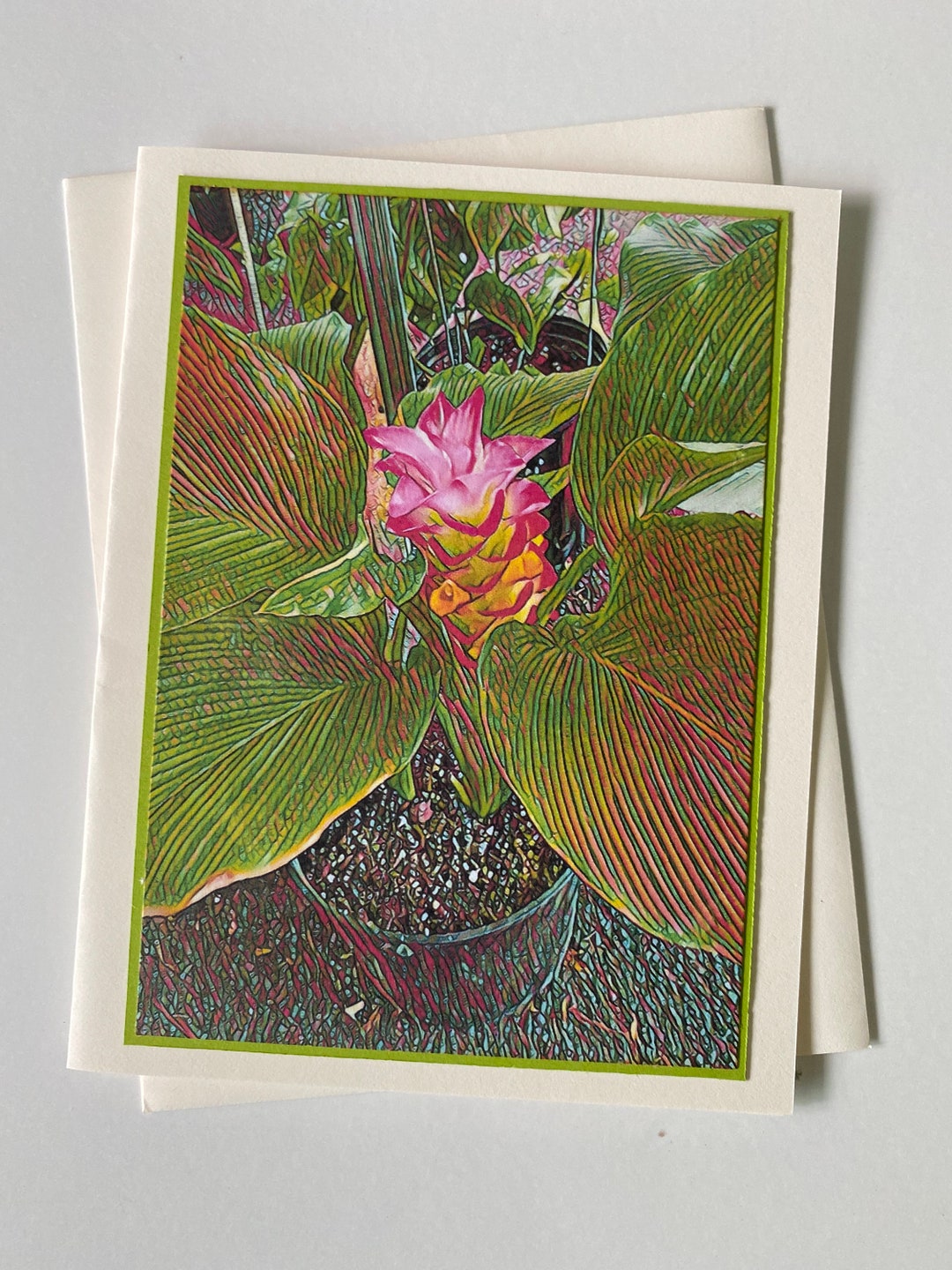 Hawaii Notecards, Tropical Flower, Lobster Claw, Bird of Paradise ...
