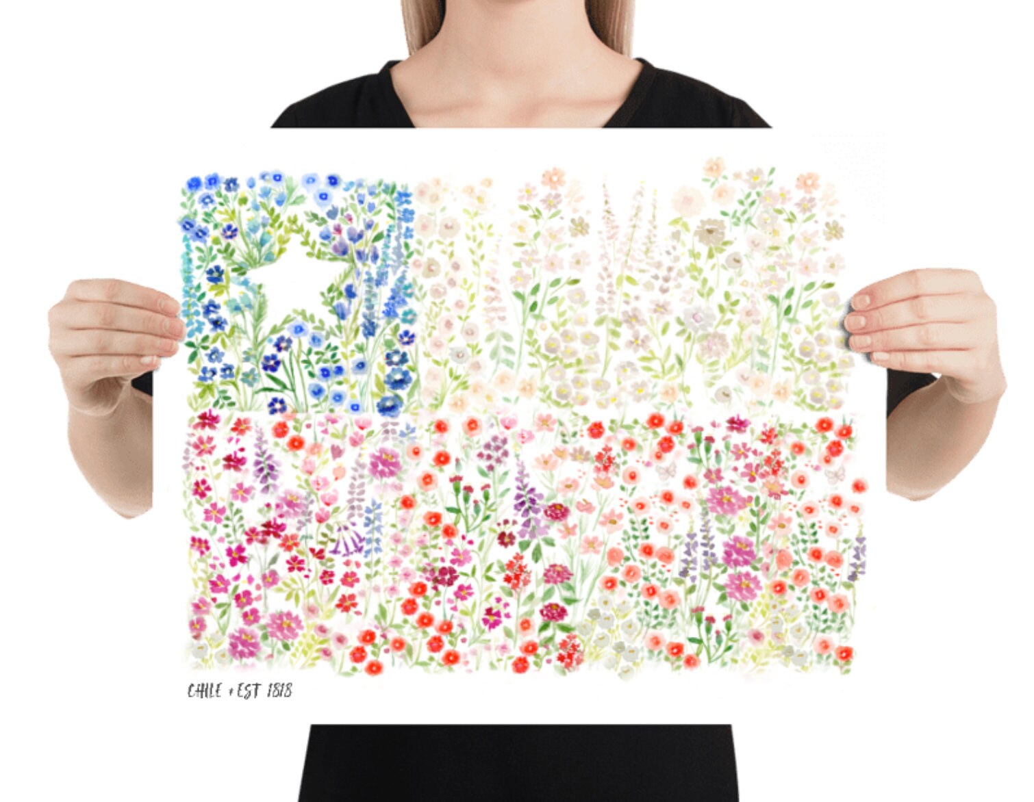Illustrated Floral Poster Chilean Flag 16 X 20 - Etsy