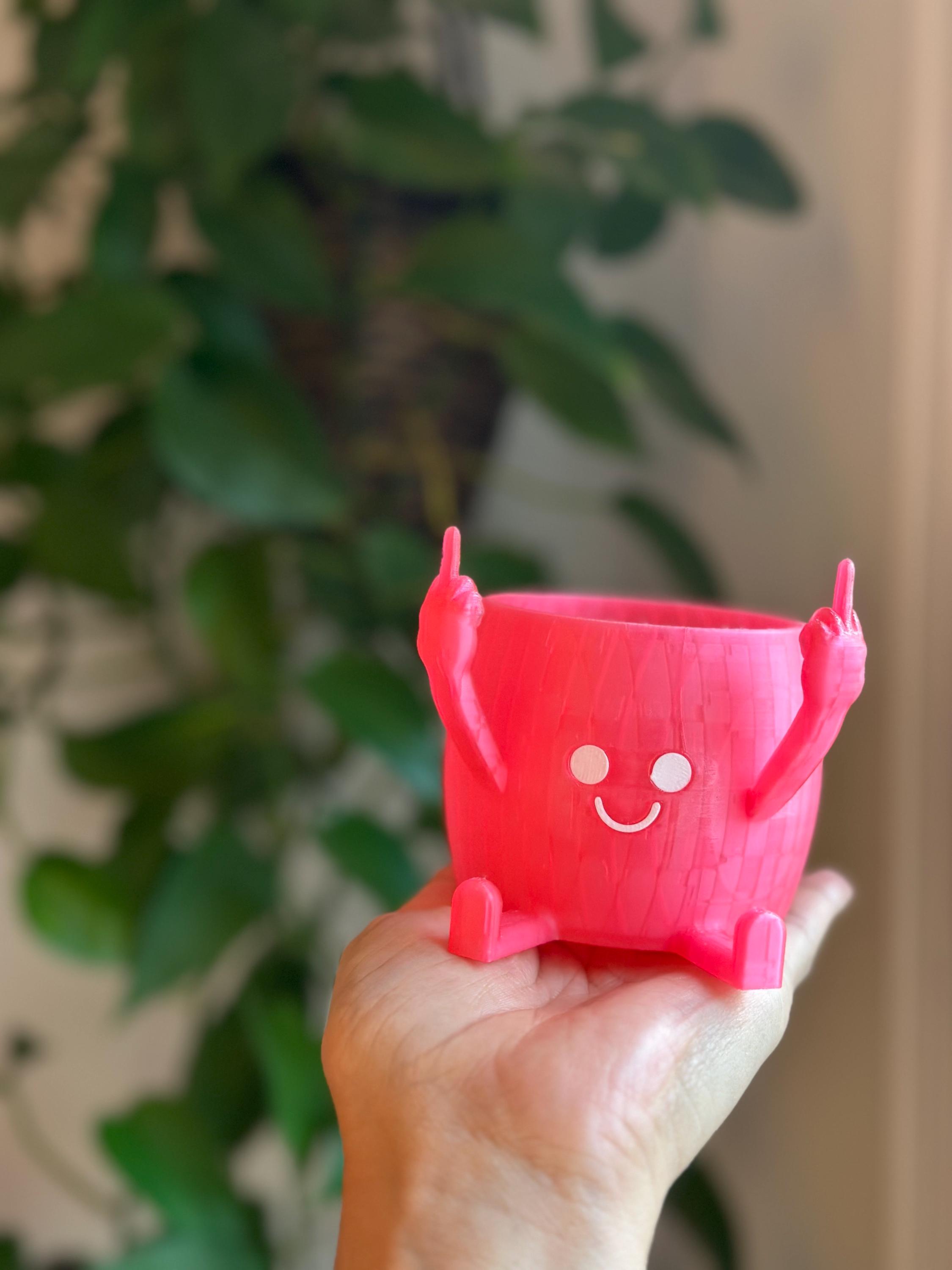 Adorable Happy Middle Finger Planter - Etsy
