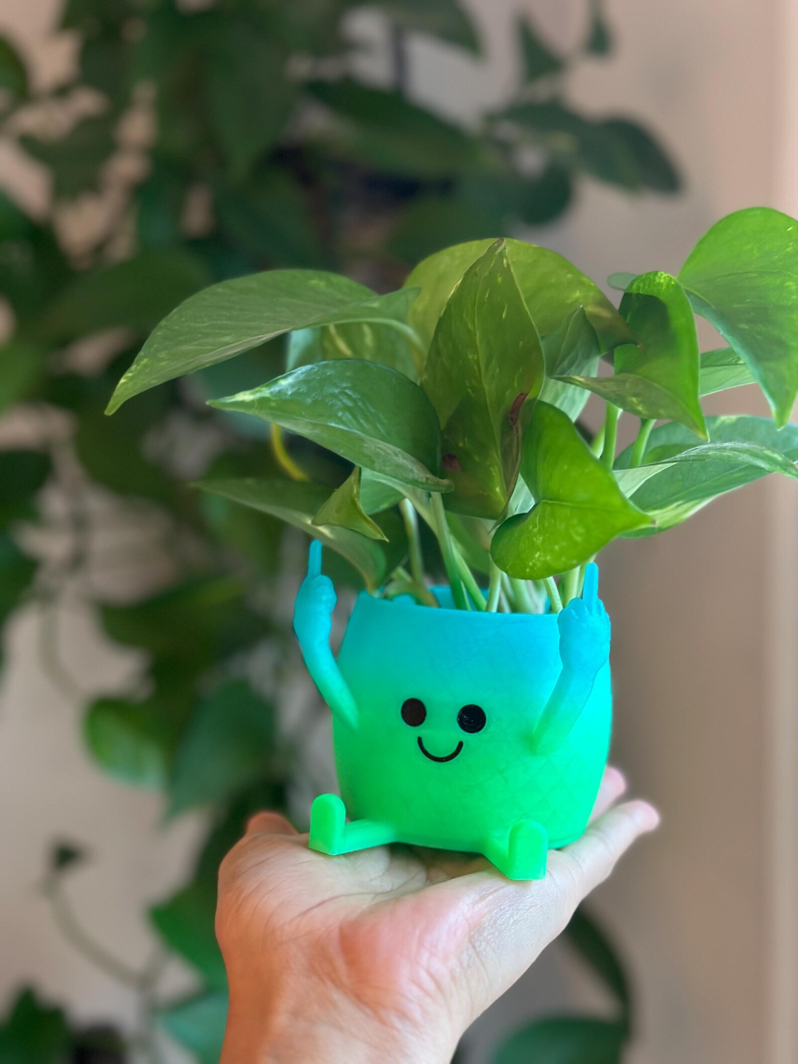 Adorable Happy Middle Finger Planter - Etsy