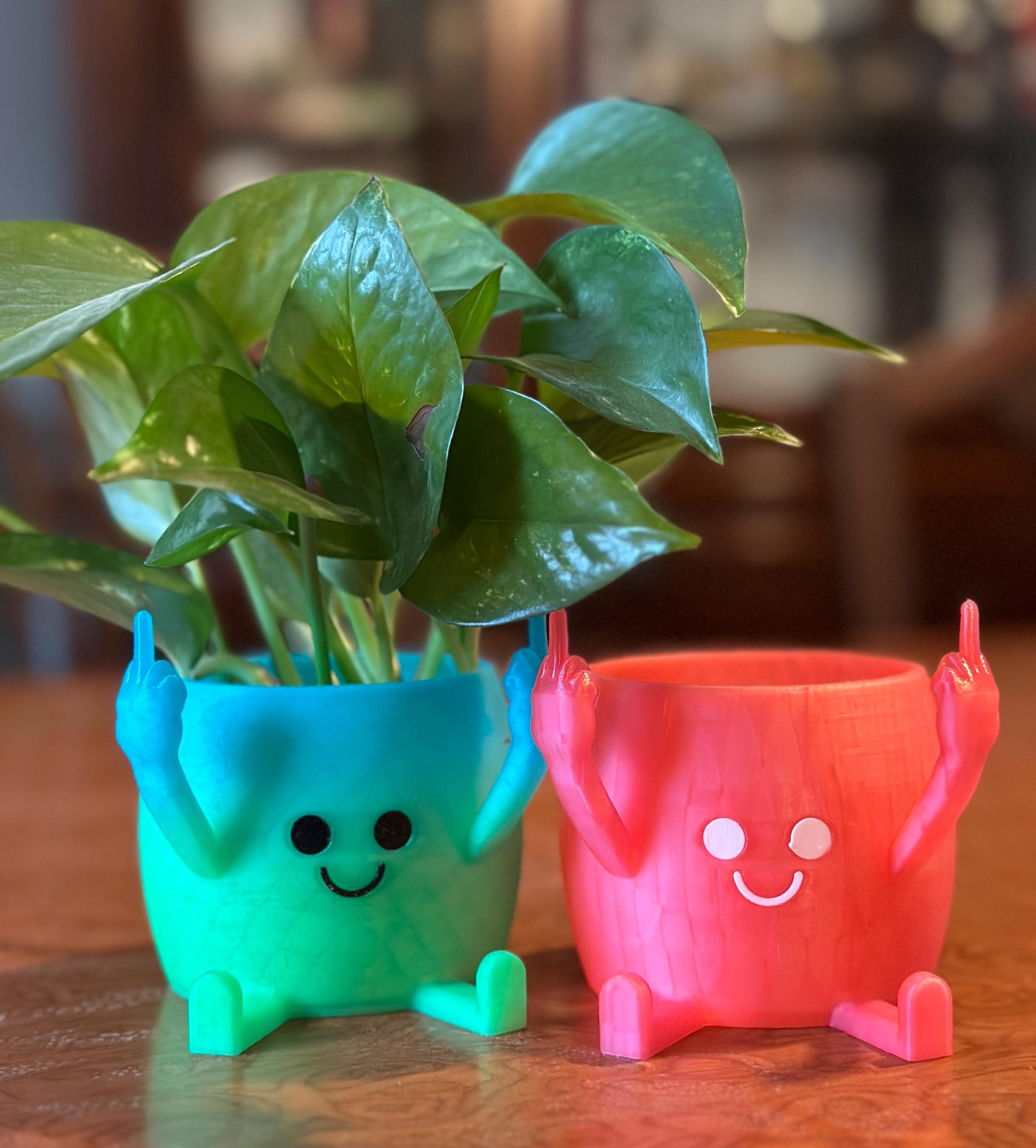 Adorable Happy Middle Finger Planter - Etsy