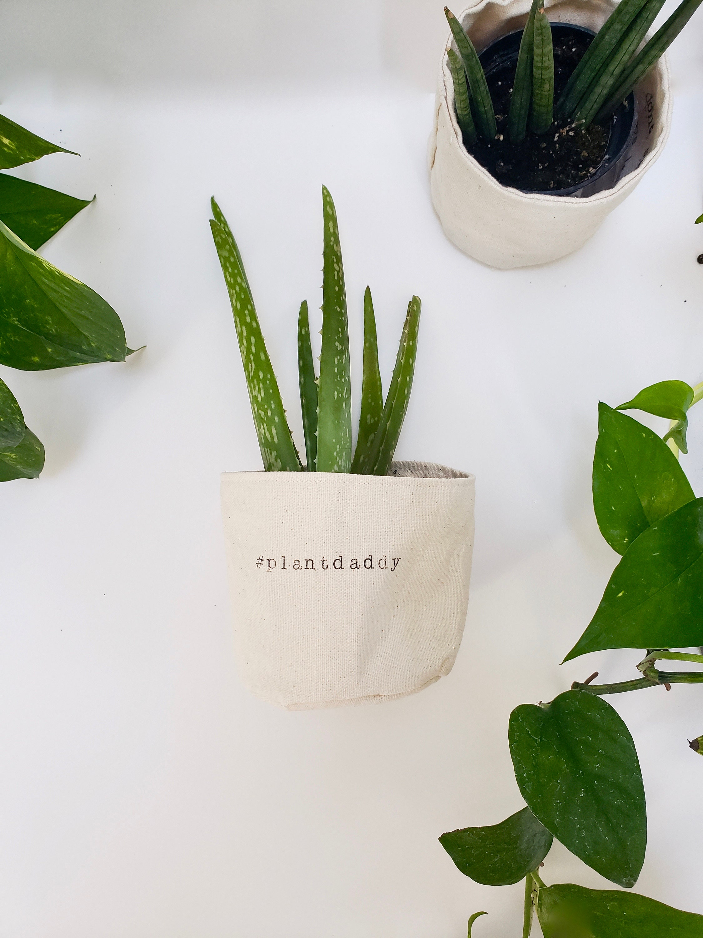 Plant Daddy Planter Basket Canvas Plant Pot Indoor | Etsy