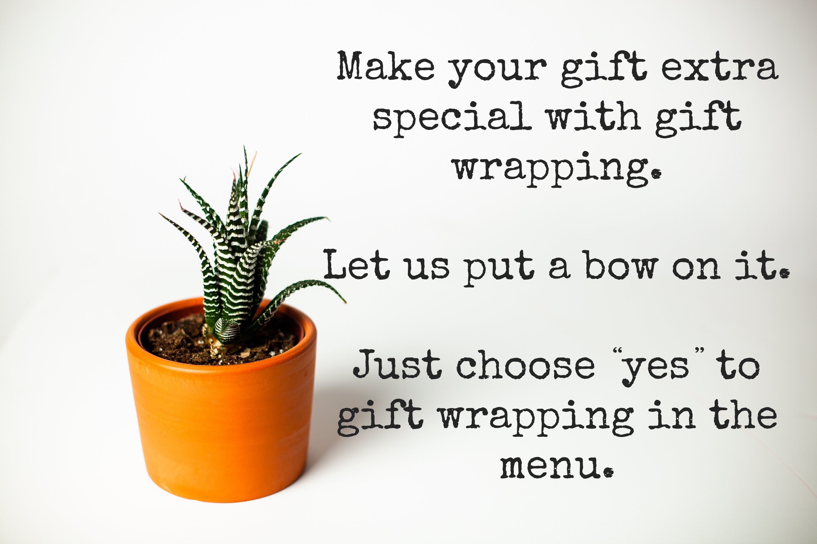 Plant Daddy Planter Basket Canvas Plant Pot Indoor | Etsy