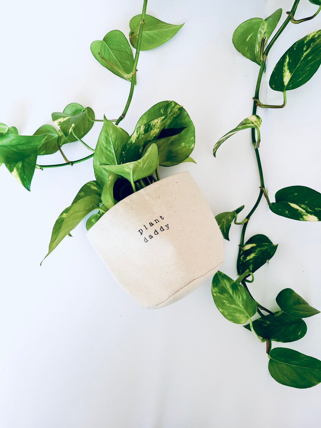 Plant Daddy - Planter Basket, Canvas Plant Pot, Indoor Planter, Cute ...