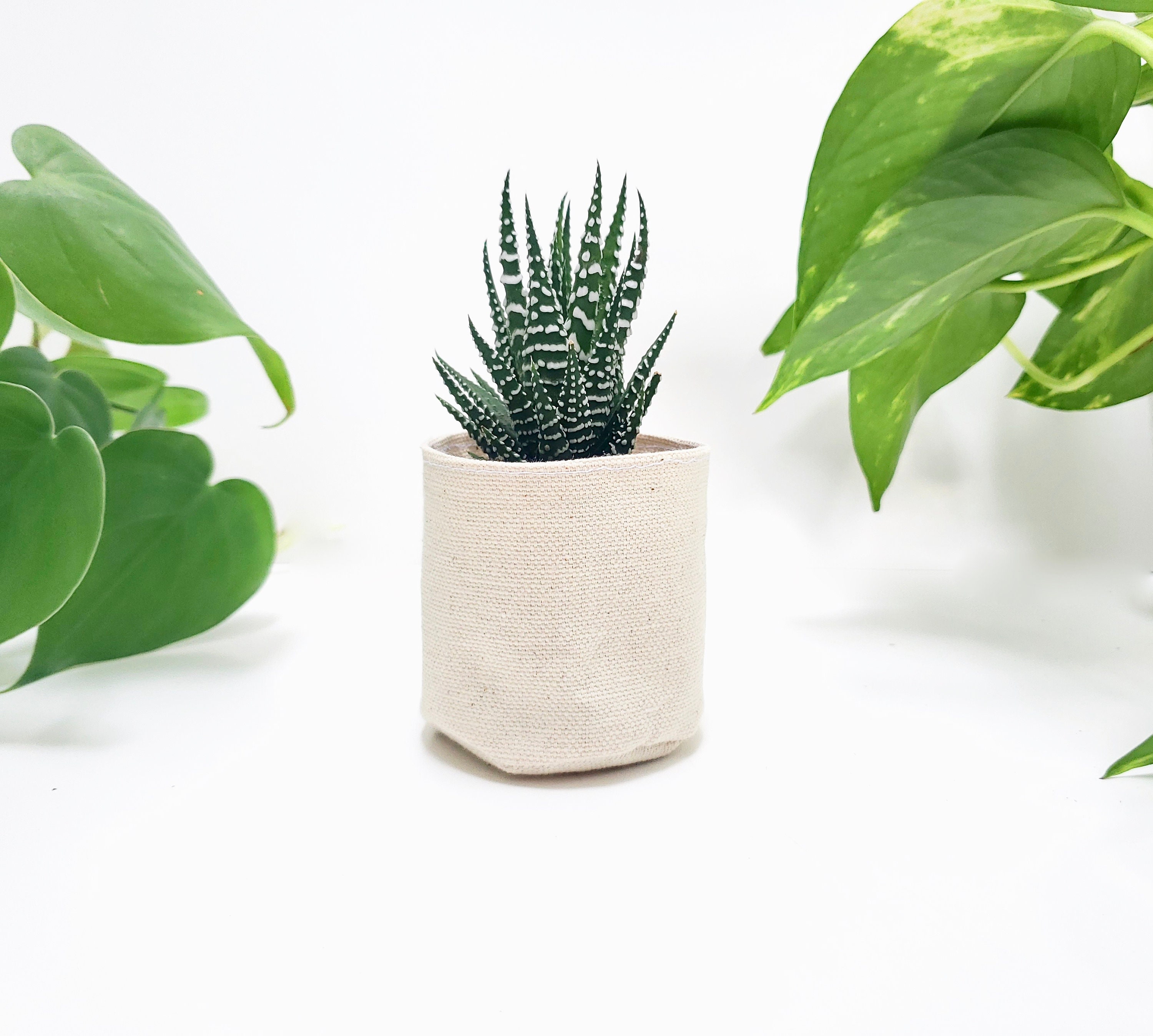 Mother's Day Planter Gift Box | PLANT INCLUDED | Happy Mother's Day ...
