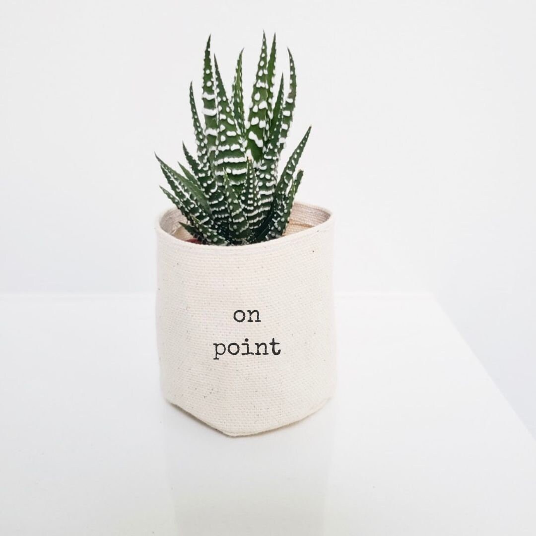 On Point 2" Succulent Planter | ADD PLANT - Etsy