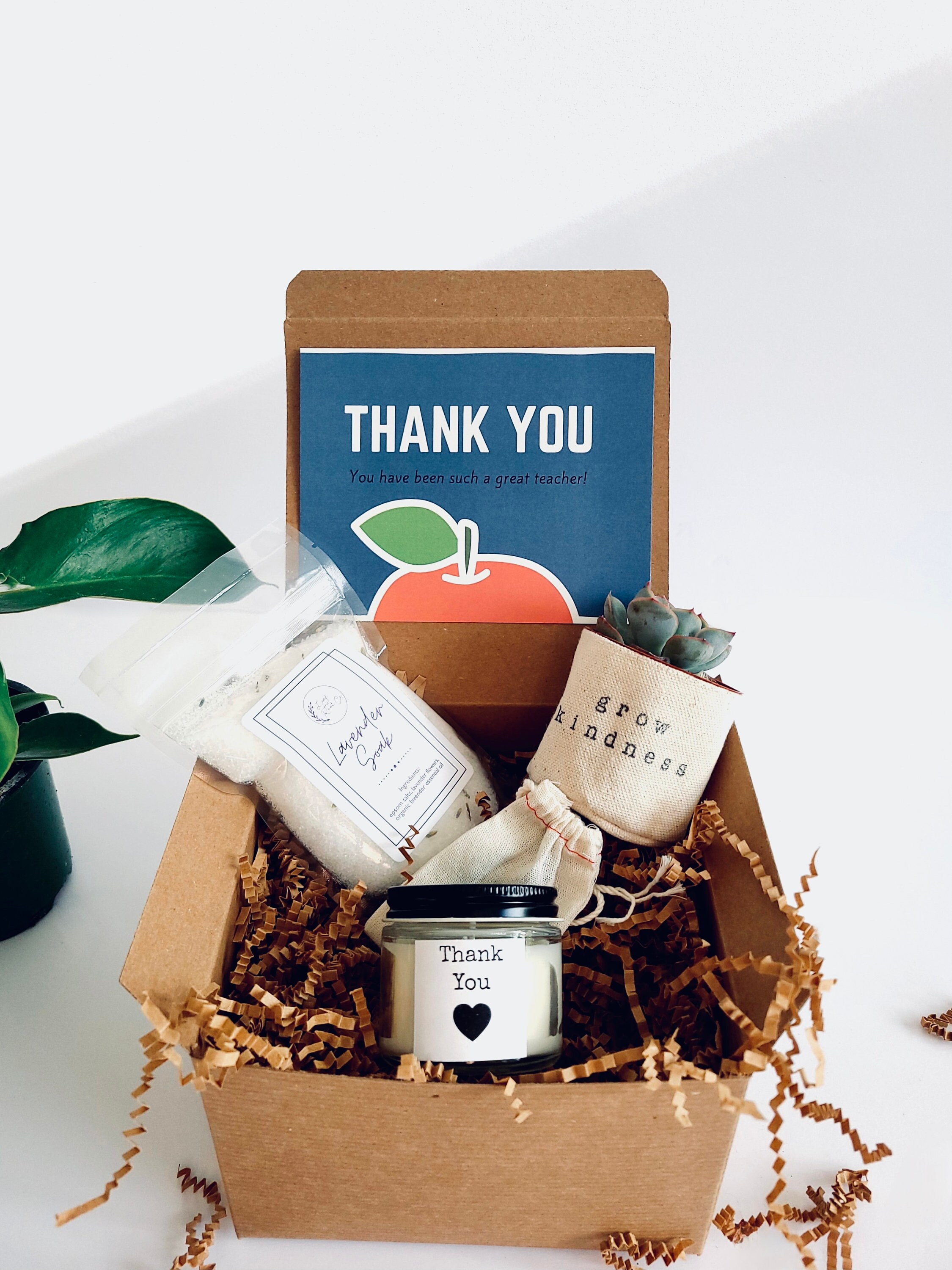 Teacher Care Package PLANT INCLUDED Gift for Teacher - Etsy