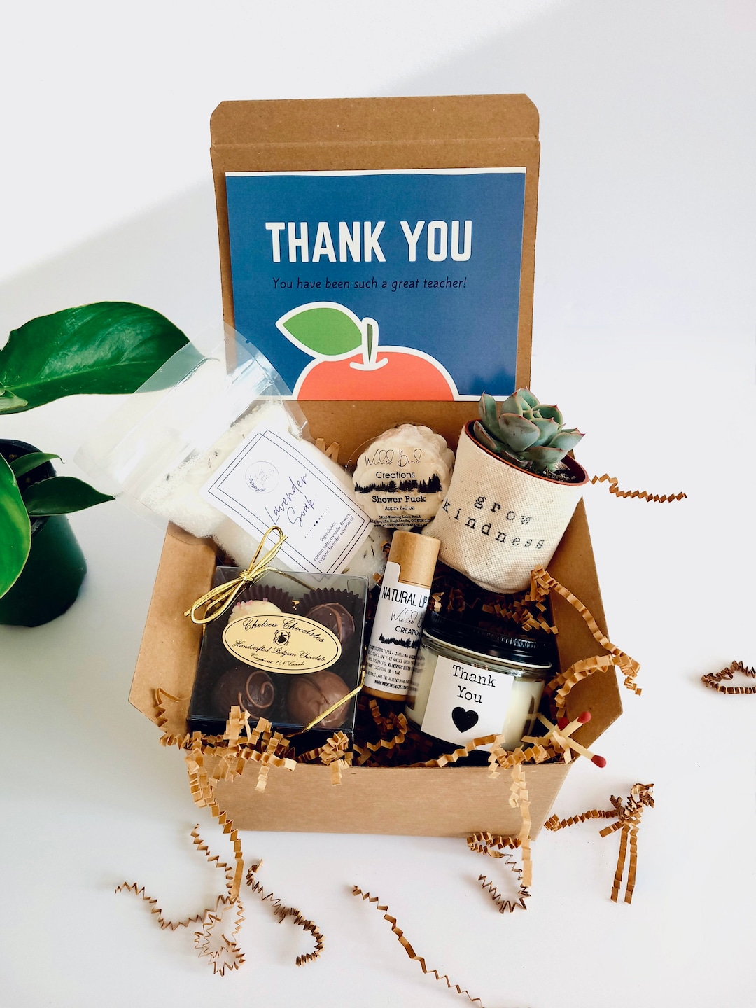 Teacher Care Package | PLANT INCLUDED | Gift for Teacher - Etsy