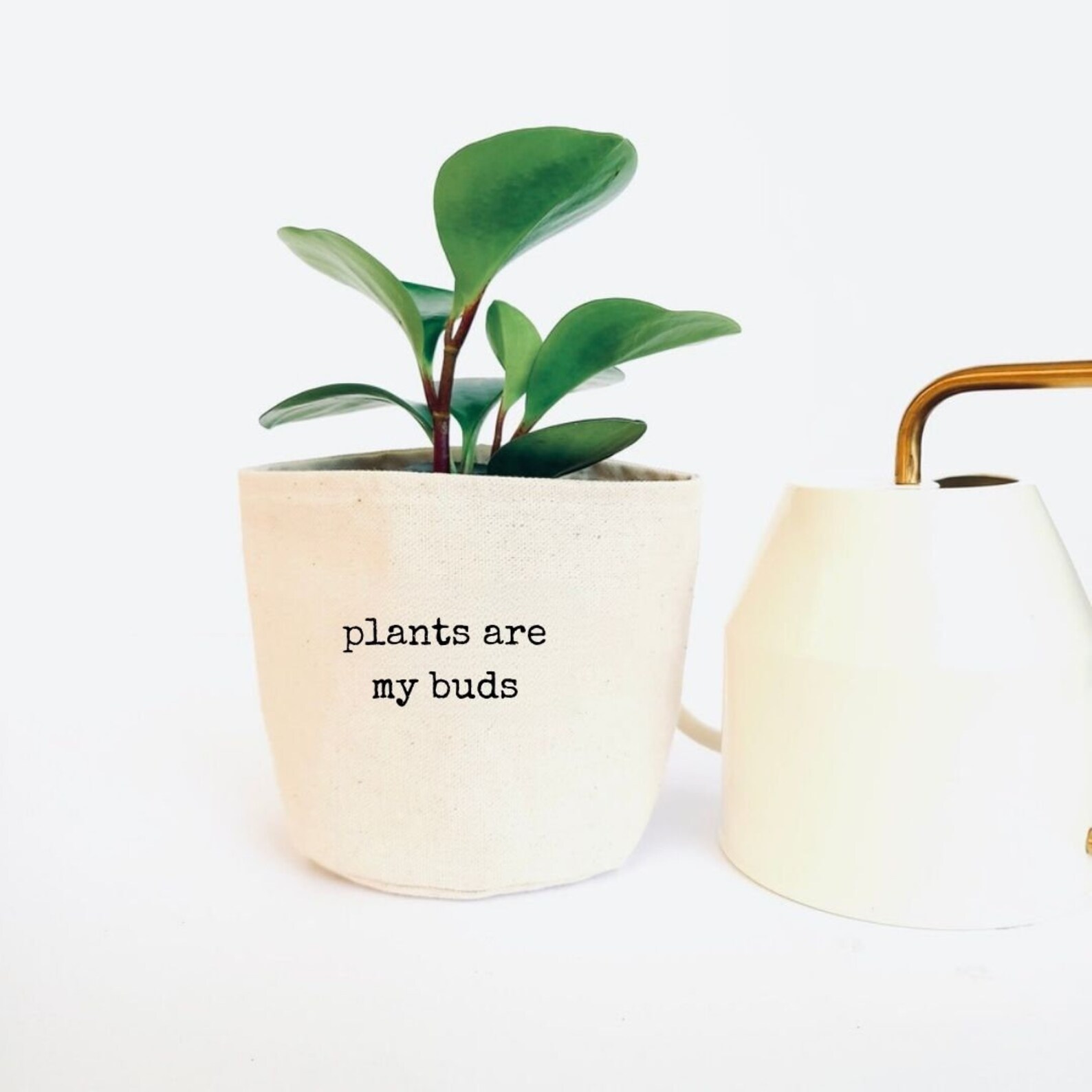 Plants Are My Buds - Planter Basket, Canvas Plant Pot, Indoor Planter ...