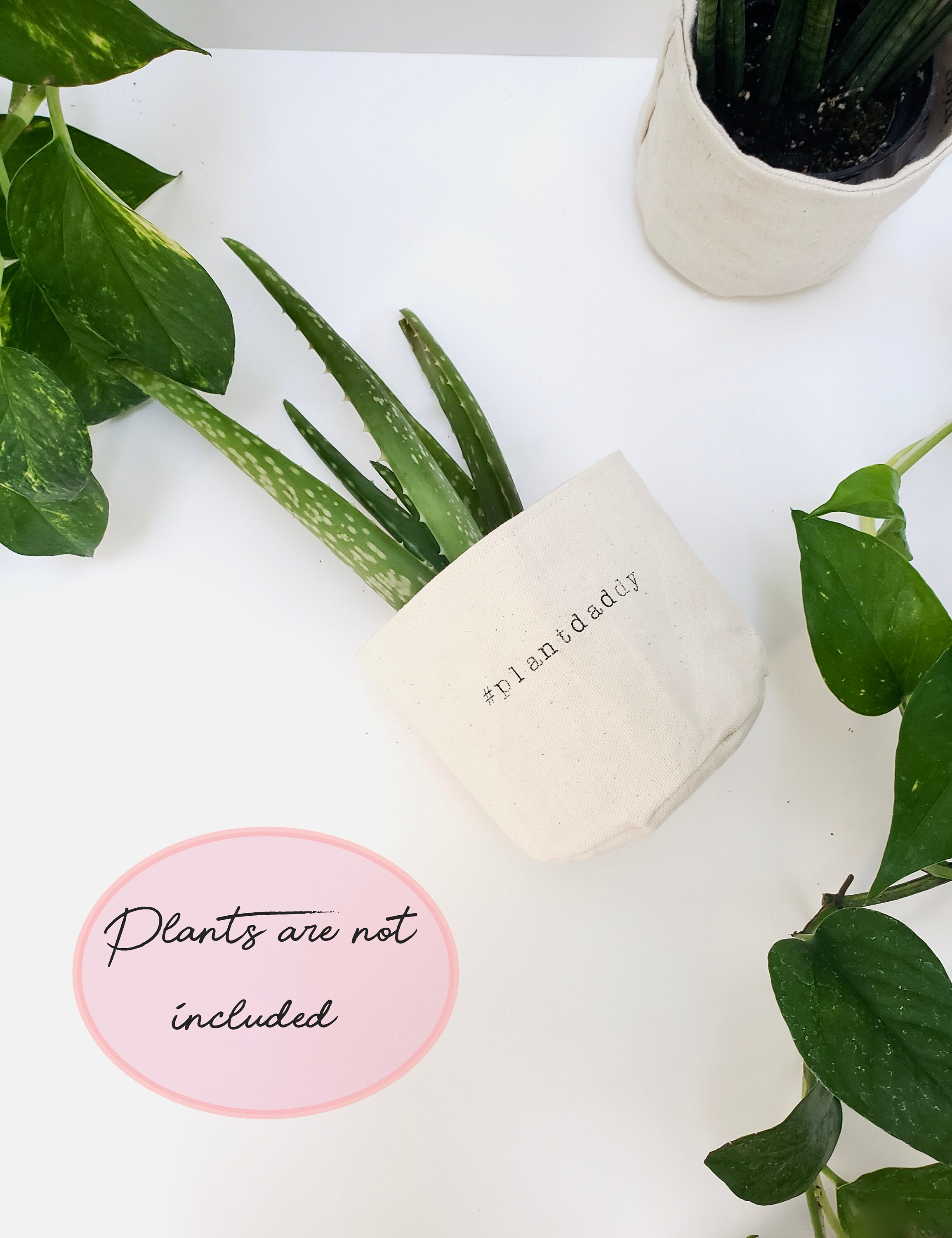 Plant Daddy Planter Basket Canvas Plant Pot Indoor | Etsy